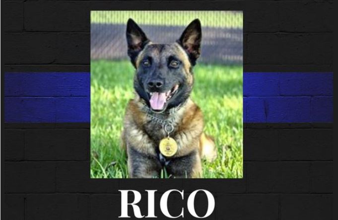 Port Neches PD Celebrates Retirement Of "Officer Rico," Longtime K9 Officer