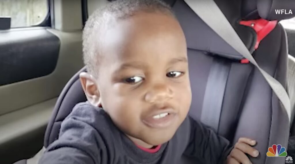 Body Of Florida Boy, 2, Found In Mouth Of Alligator Following Search ...