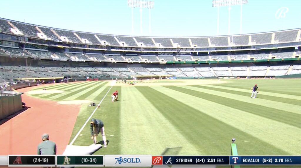 MLB Pitcher Accidentally Hits And Kills Bird With Curveball - The ...