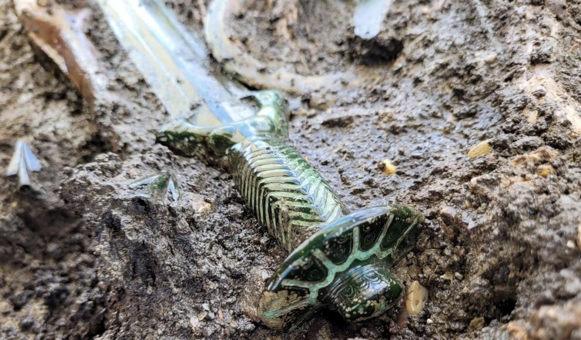 More Than 3000-Year-Old Sword Found In Germany So Well Preserved That ...