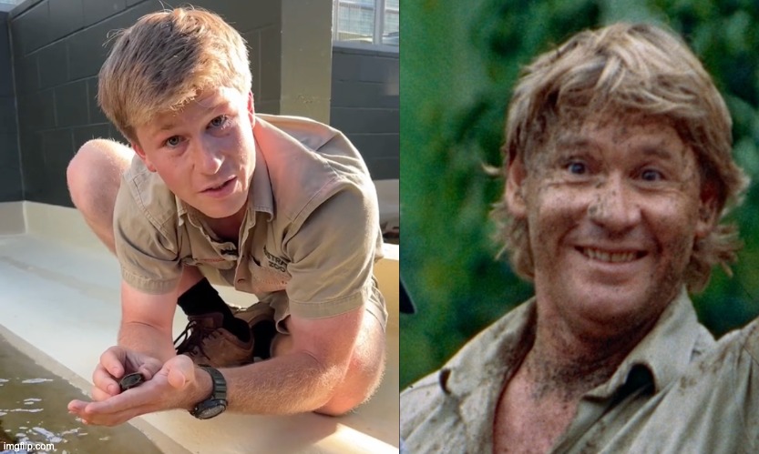 "Dad Would Be Pretty Proud": Robert Irwin Shares Emotional Message After Rare Turtle Hatch Tied ...