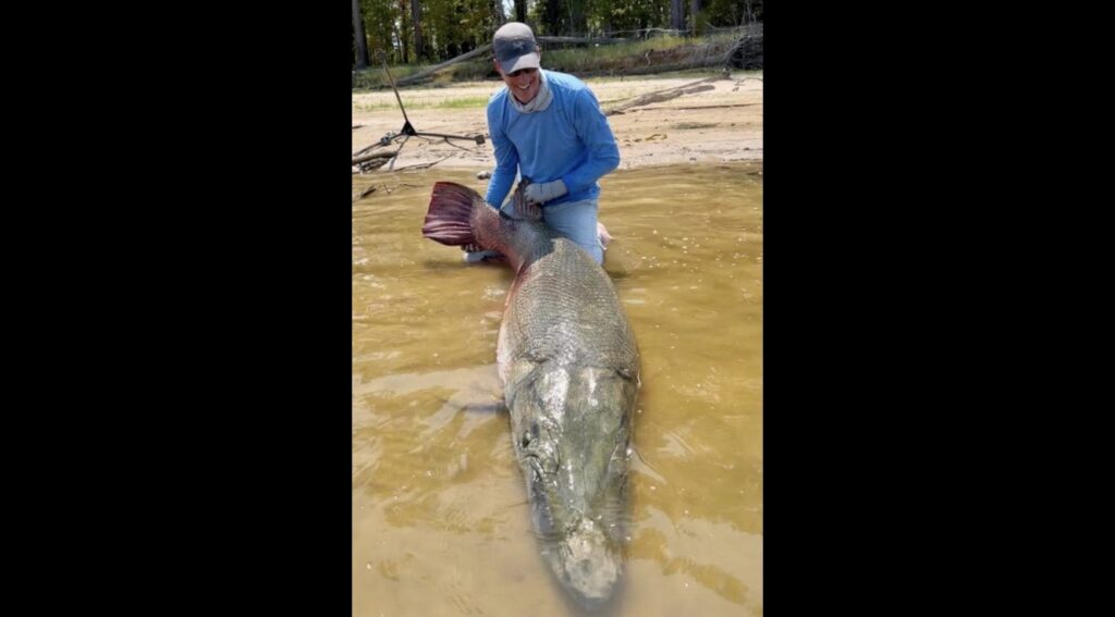 Behemoth, Double-Record-Breaking Alligator Gar Caught In Texas - The ...
