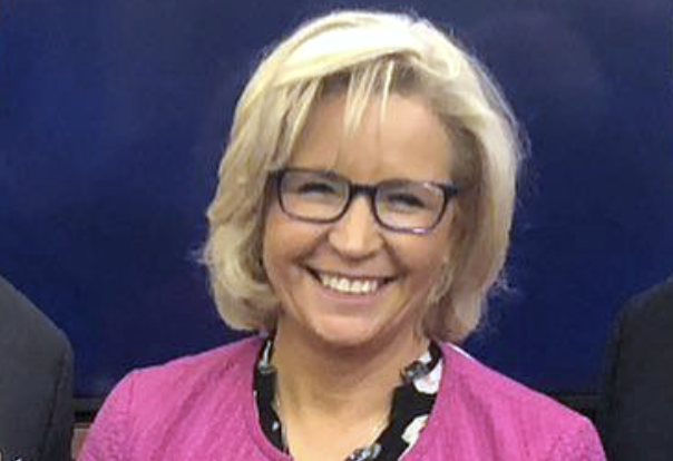 WATCH: Former Trump Official Demands "Forensic Examination" Of J6 ...