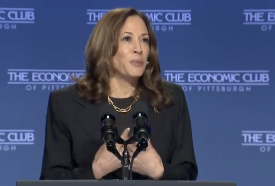 "Vapidity Upon Vapidity": Harris Hilariously Roasted For "Inspire Us By ...