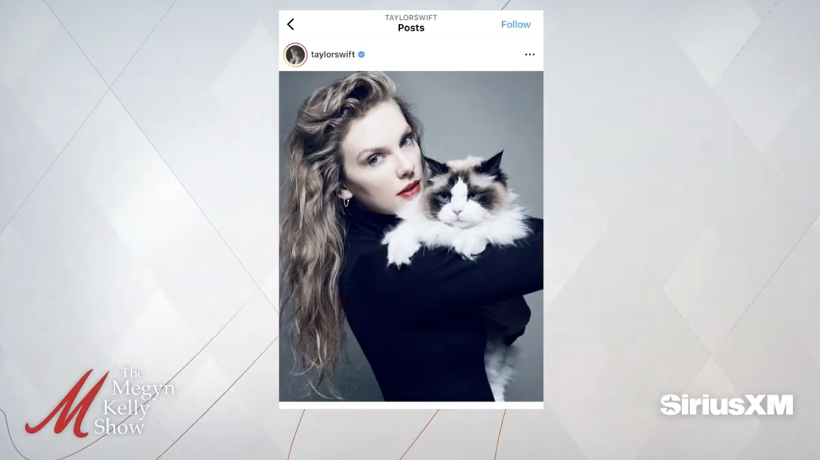 WATCH: Megyn Kelly Goes Nuclear On "Epitome Of Elite Snobs" Taylor ...