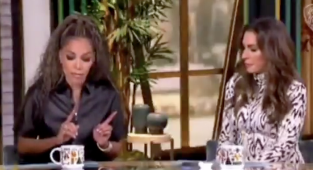 WATCH: "The View" Co-Hosts Get In Shouting Match Over Niche Political ...