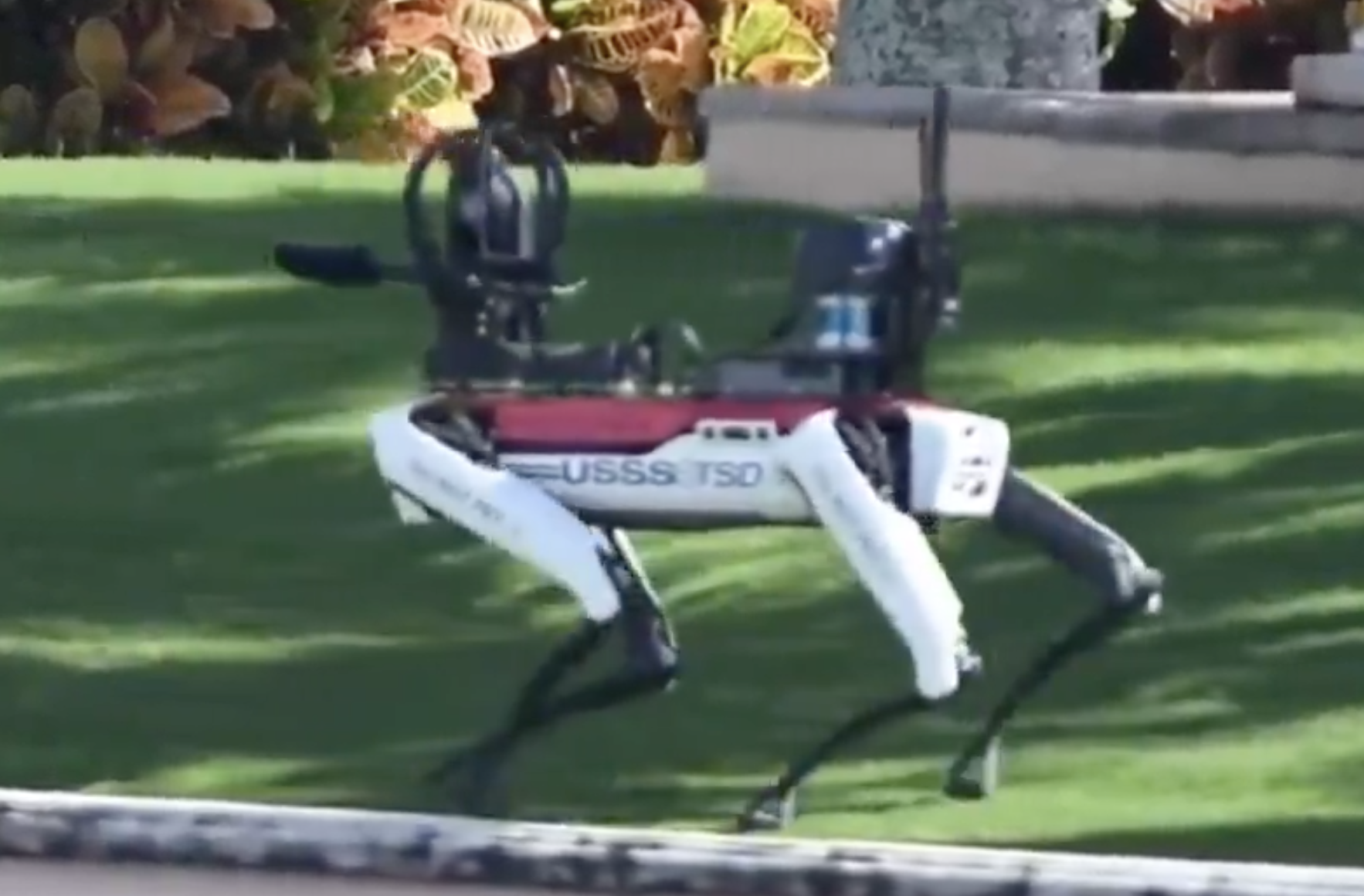 WATCH: Robot Dog Protects Trump While Kids Play At Mar-a-Lago - The ...