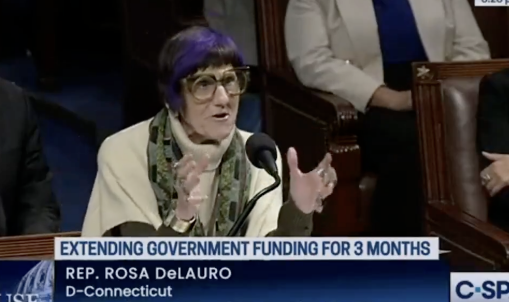 Purple-Haired Congresswoman Facing Backlash After Anti-GOP Tirade On ...