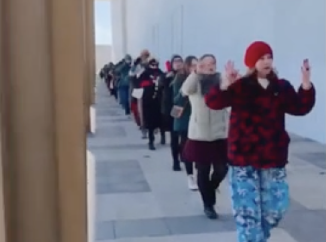 Woke Performers Protest Trump's Anti-DEI Moves With Interpretive Dance ...