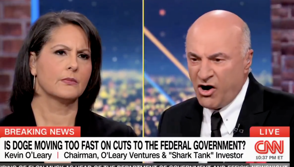 WATCH: Mr. Wonderful Drops Jaws At CNN Demanding That Musk, DOGE Fire ...