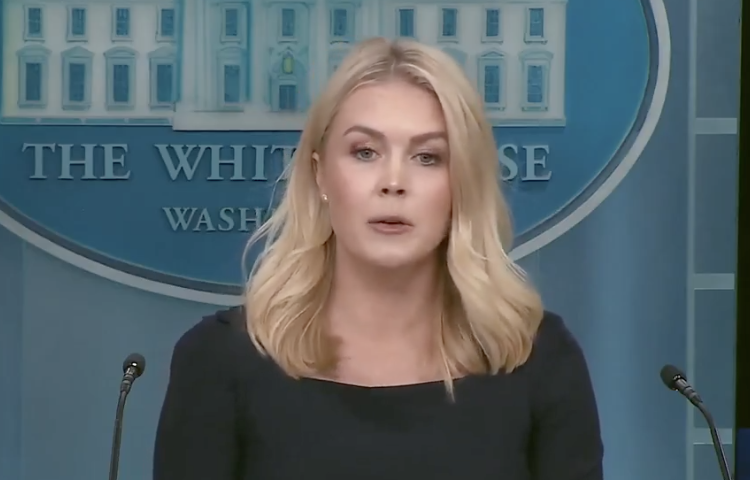 WATCH: Karoline Leavitt Exposes "Despicable" Media Lies About Deported ...