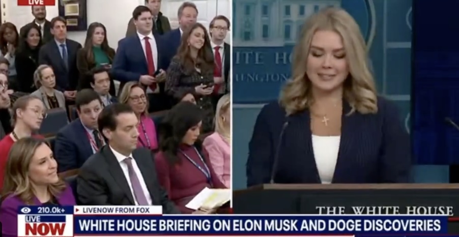 WATCH: Leavitt Slays The Media By Bringing DOGE Receipts - The American ...