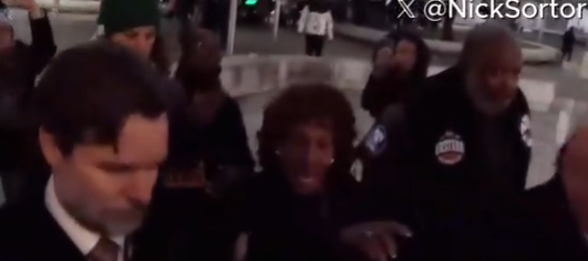 WATCH: Conservative Journalist Gets Shoved By Maxine Waters' Security ...