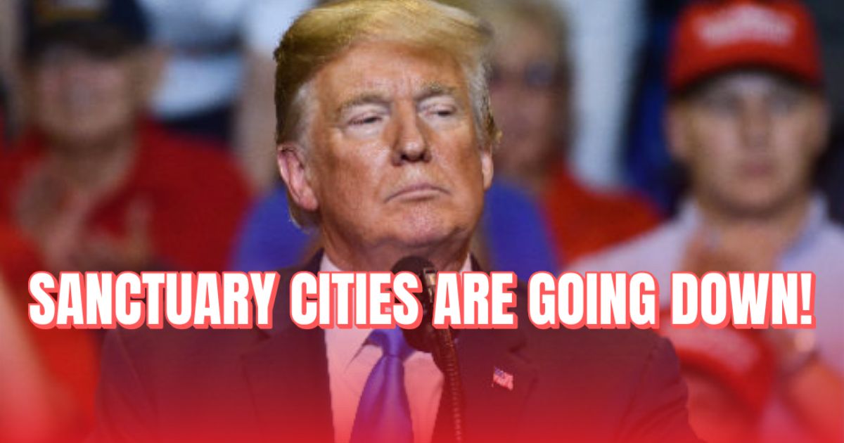 WATCH: Trump's Genius Strategy To Crack Down On Sanctuary Cities ...