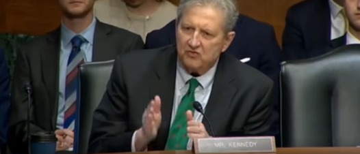 WATCH: Democrat Witness Has Total Raging Meltdown In Hearing After ...