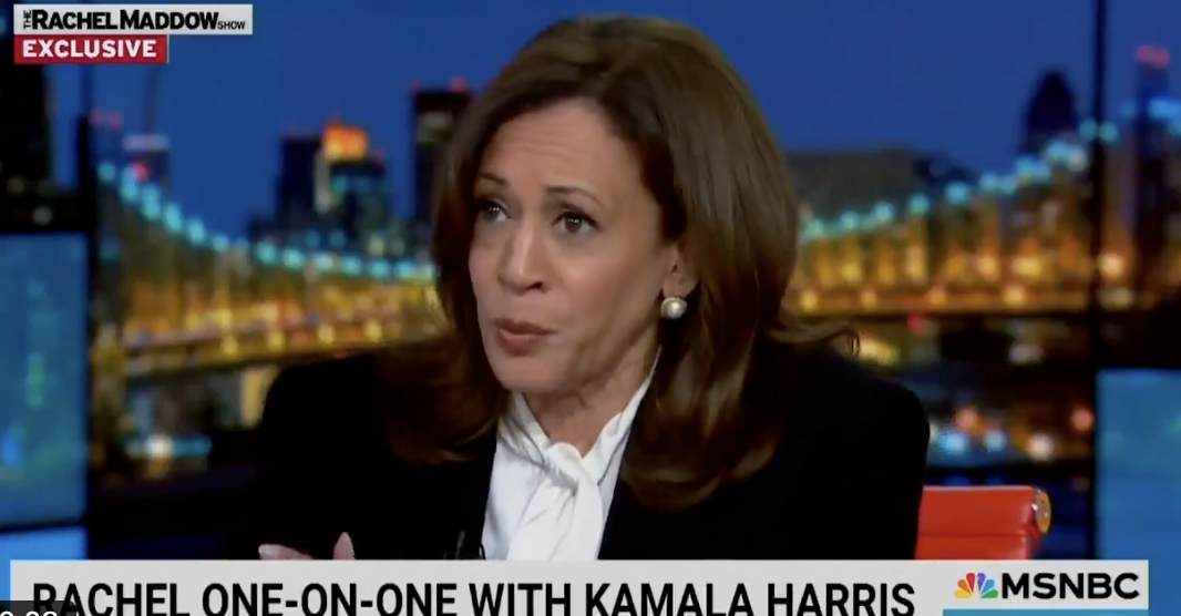 WATCH: Kamala Harris Freaks Out In Wild Interview, Calls On American ...