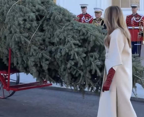 WATCH: Sweet Video Shows Stunningly-Dressed Melania Trump Welcoming The ...