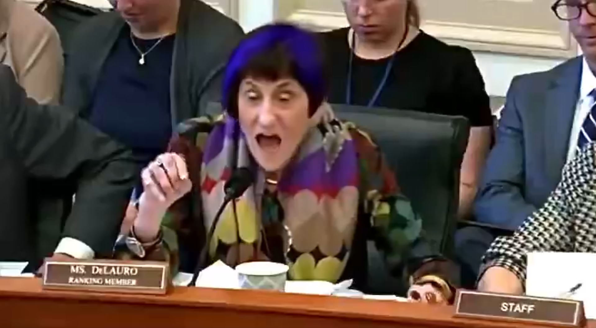 WATCH: Purple-Haired Congresswoman Has Screaming, Hand-Waving Meltdown ...